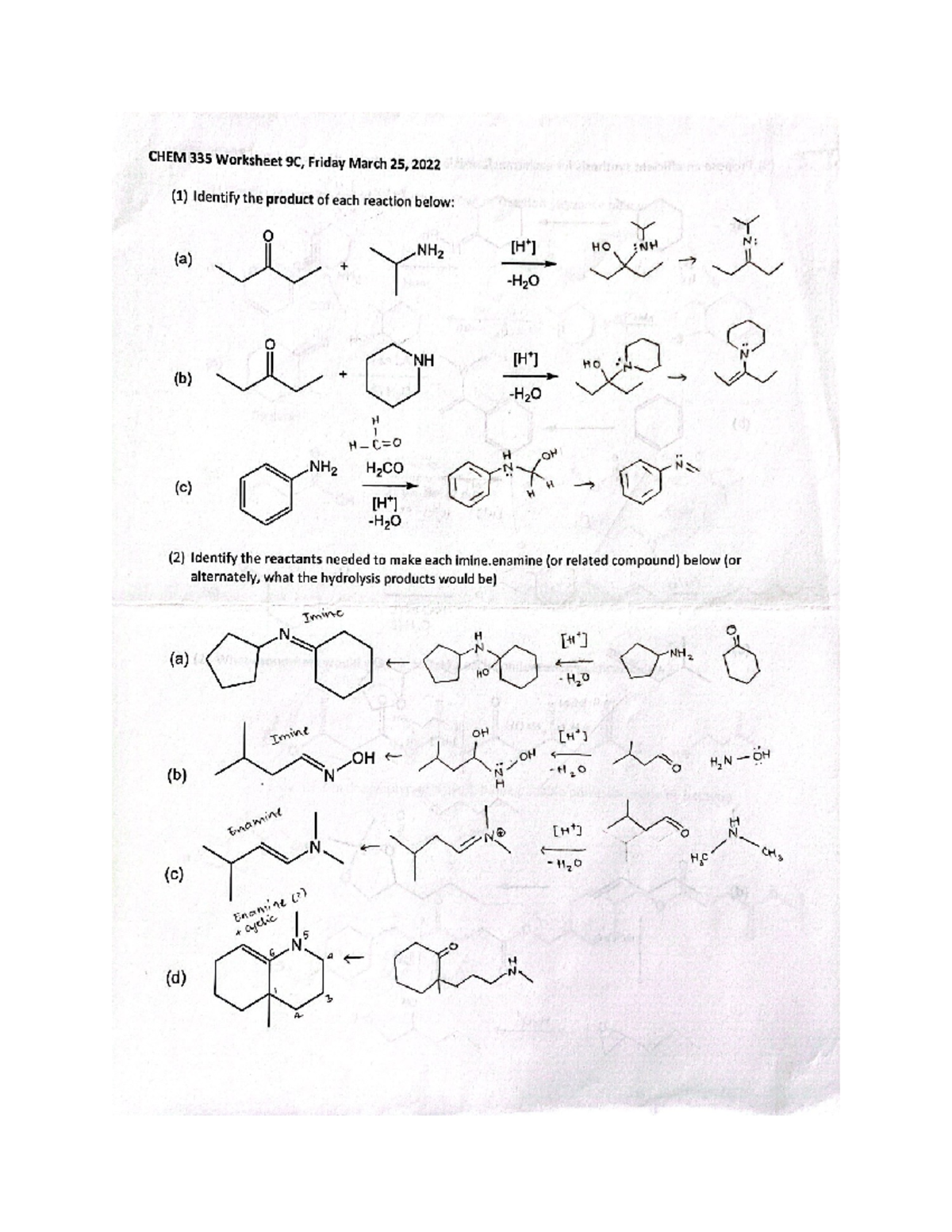 CHEM335 - Worksheet 9C - CHEM 335 - Studocu