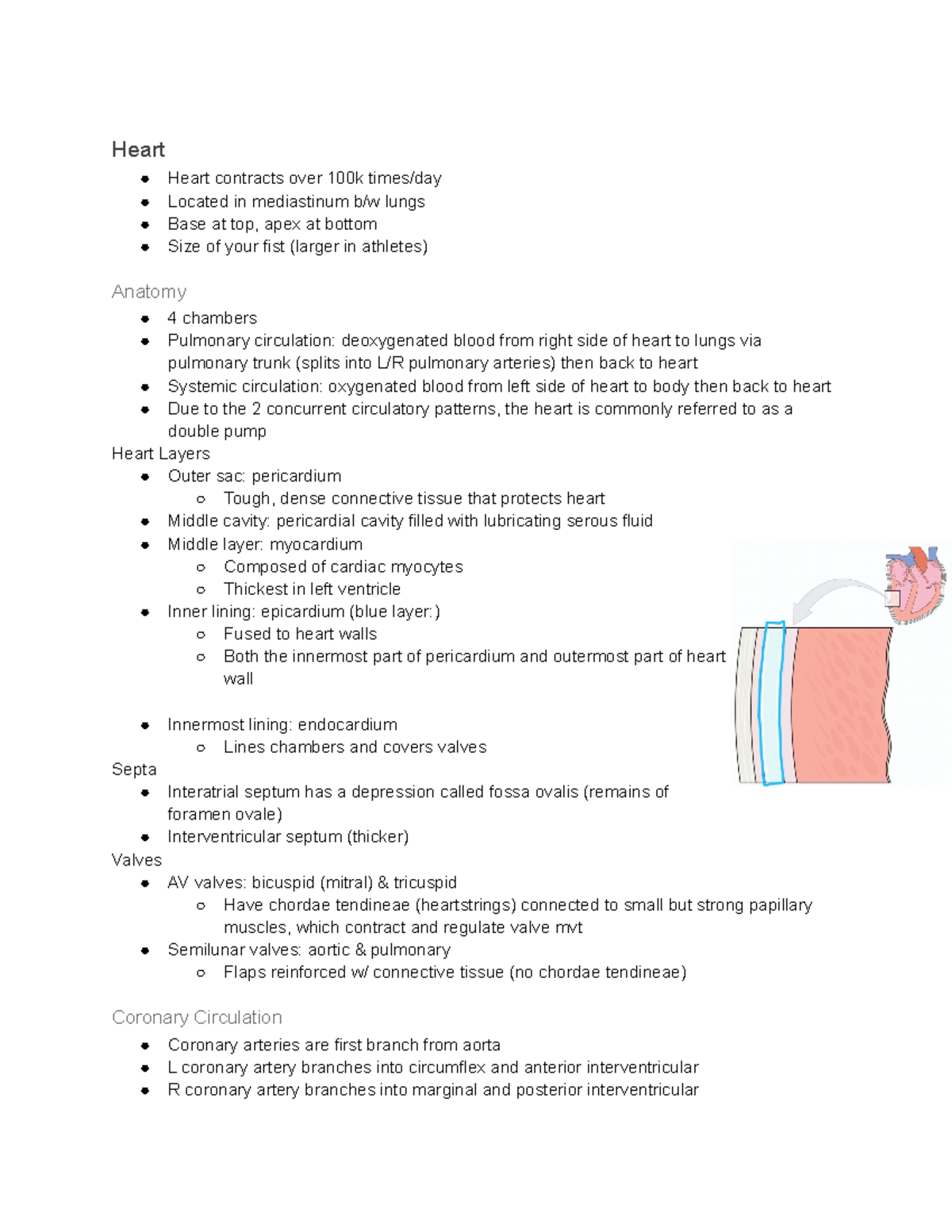 Module 8 Cards - Cardiovascular system notes (typed) - Heart Heart ...