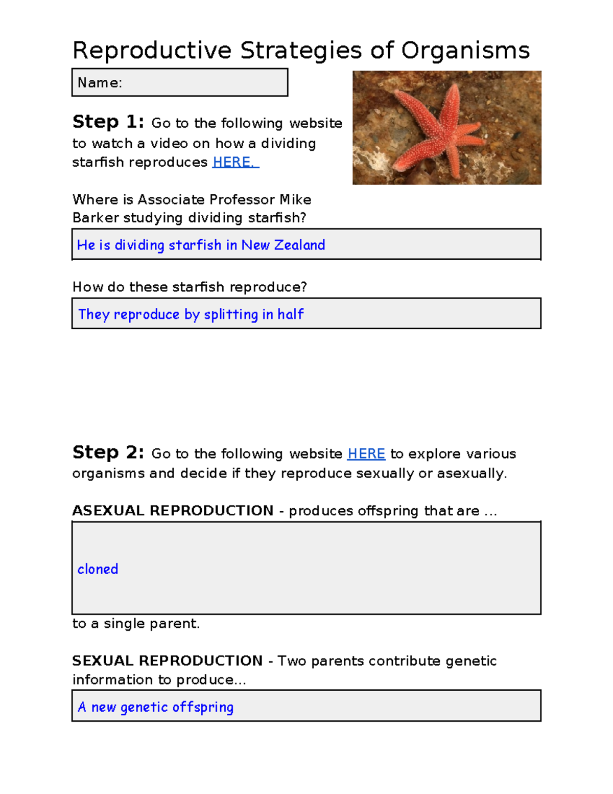 Reproductive Strategies Comparing Sexualand Asexual Reproduction Free ...