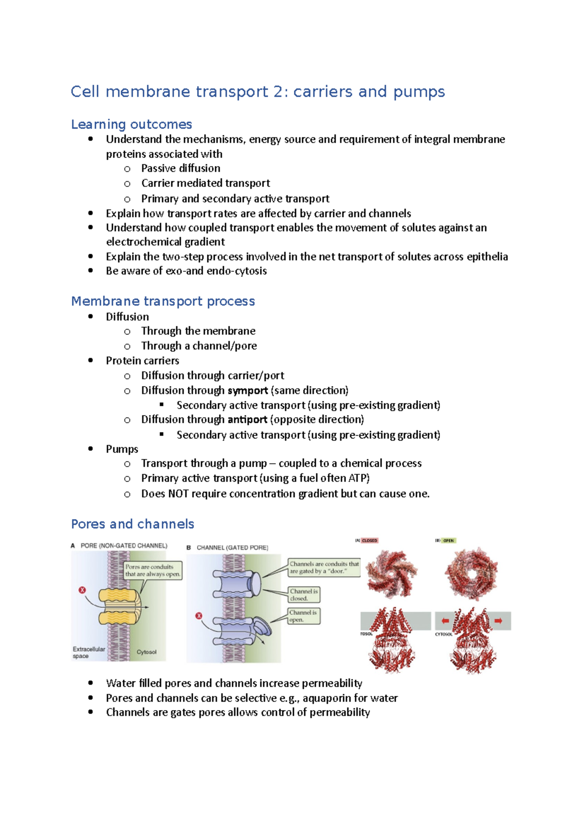 Cell membrane transport 2 - Pores and channels Water filled pores and ...