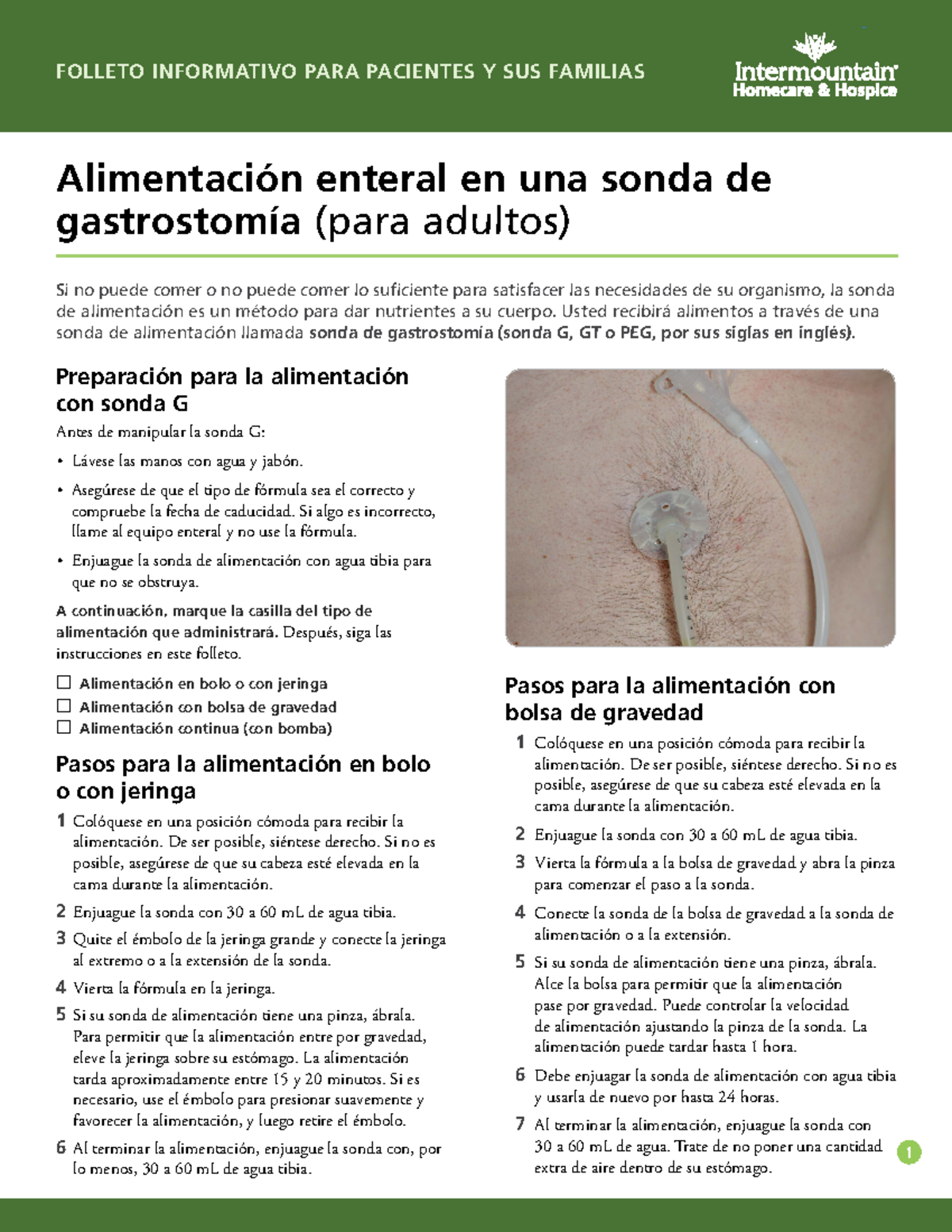 Giving An Enteral Feeding In A Gastrostomy Tube (for Adults) Fact Sheet ...
