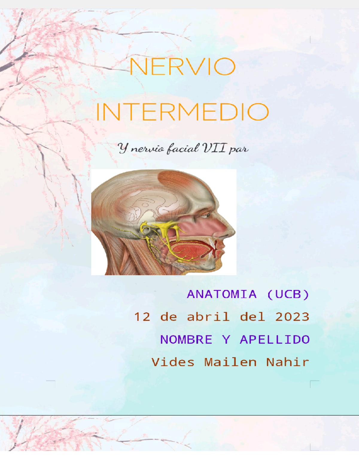 EL Nervio Inter-WPS Office - EL NERVIO INTERMEDIO WRISBERG el nervio ...