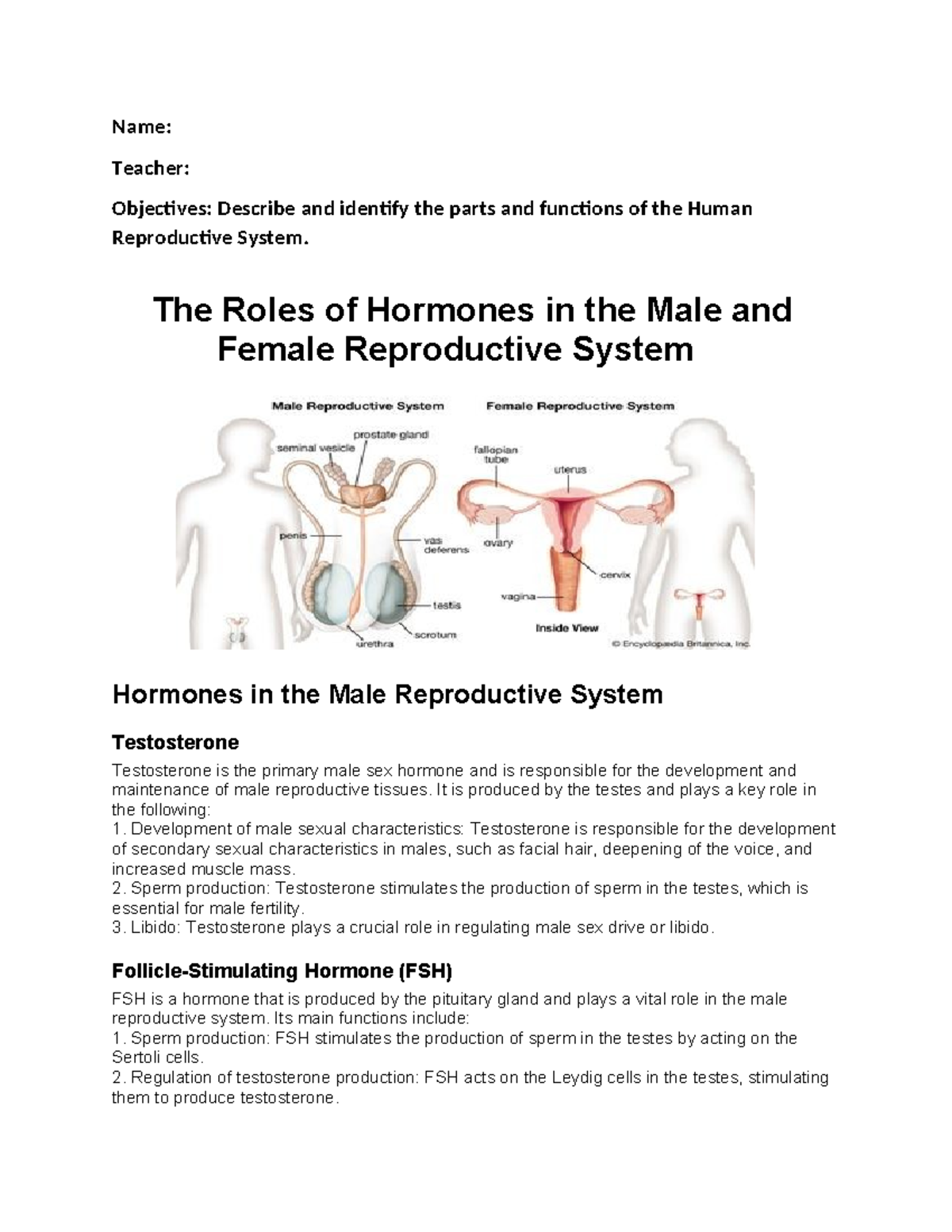 The Roles of Hormones in the Male and Female Reproductive System - Name ...
