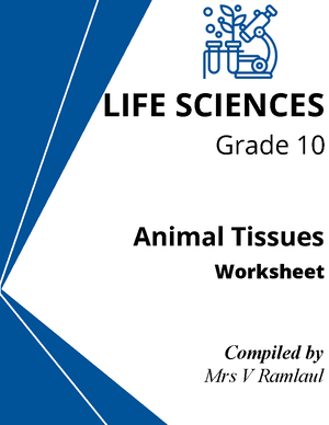 Life Sciences Gr 10 Plant tissues theory - LIFE SCIENCES PLANT TISSUES ...