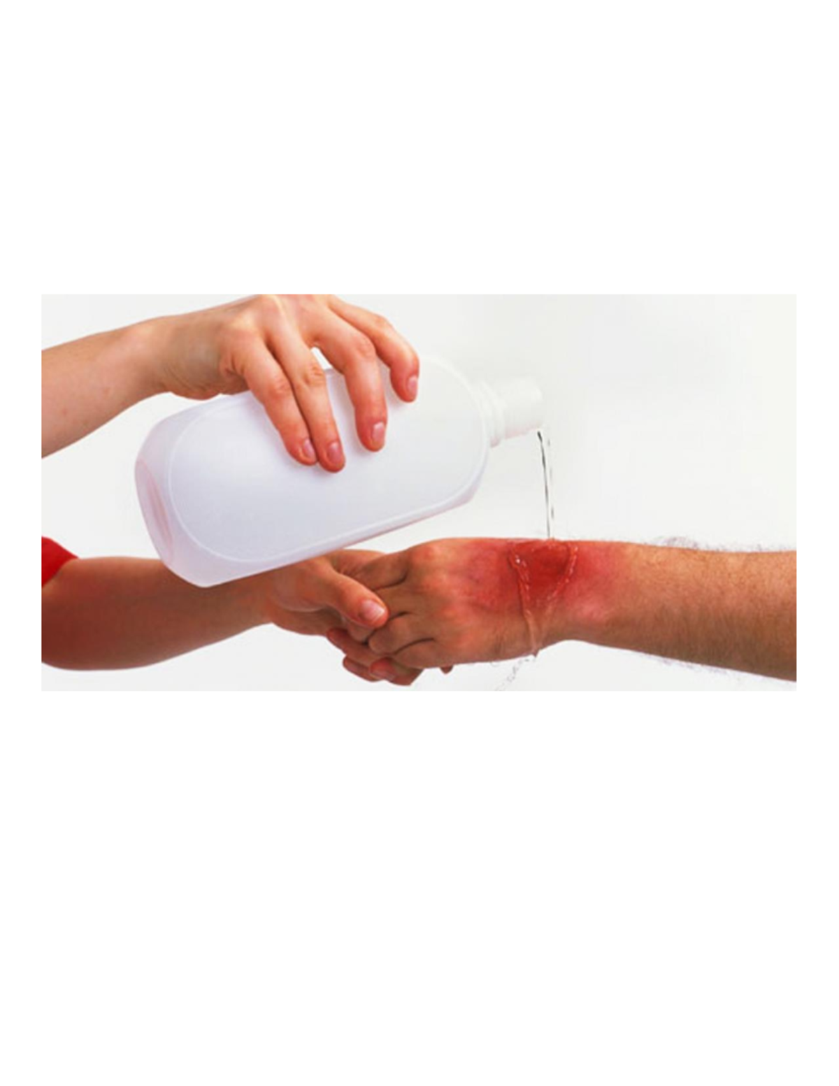 manual de procedimientos - MANUAL DE PROCEDIMIENTOS PARA EL MANEJO DE ...