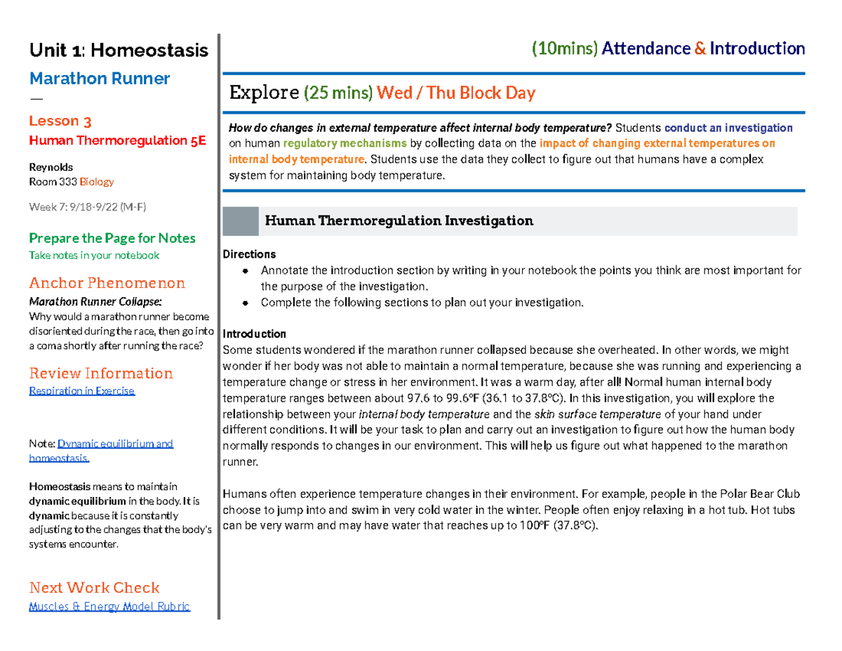 Block Day Bio U1 L3 Muscles & Energy Week 7 - Unit 1: Homeostasis Marathon Runner ᅳ Lesson 3 ...