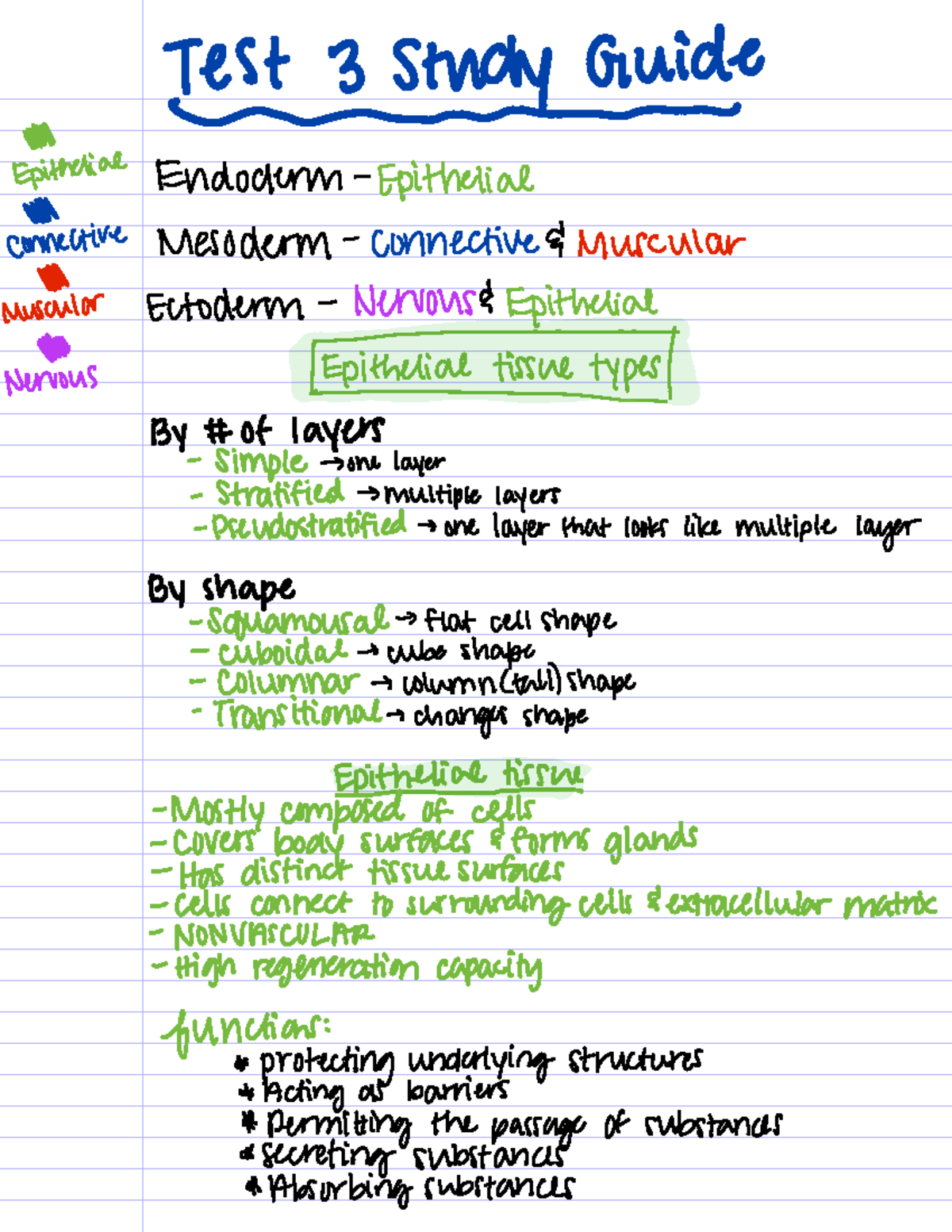 Tissue Lecture Notes - BIO 168 - Studocu