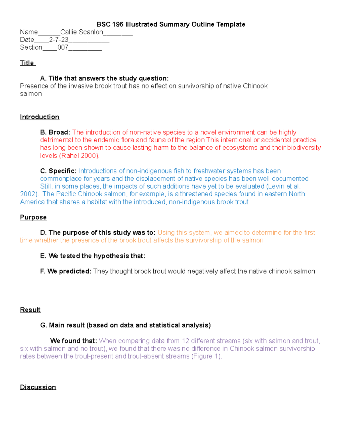 Scanlon Outline Template 007 - BSC 196 Illustrated Summary Outline ...