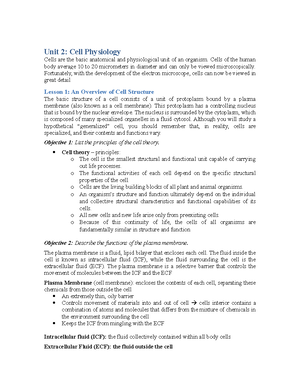 ENGL1101 Reverse Outline Reference - ENGL 1101: Introduction to University Writing 1 Reverse ...