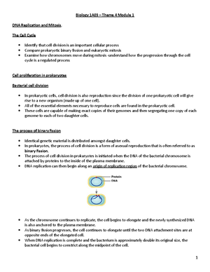 Biology 1A03 – Theme 4 Module 4 - Biology 1A03 – Theme 4 Module 4 DNA ...