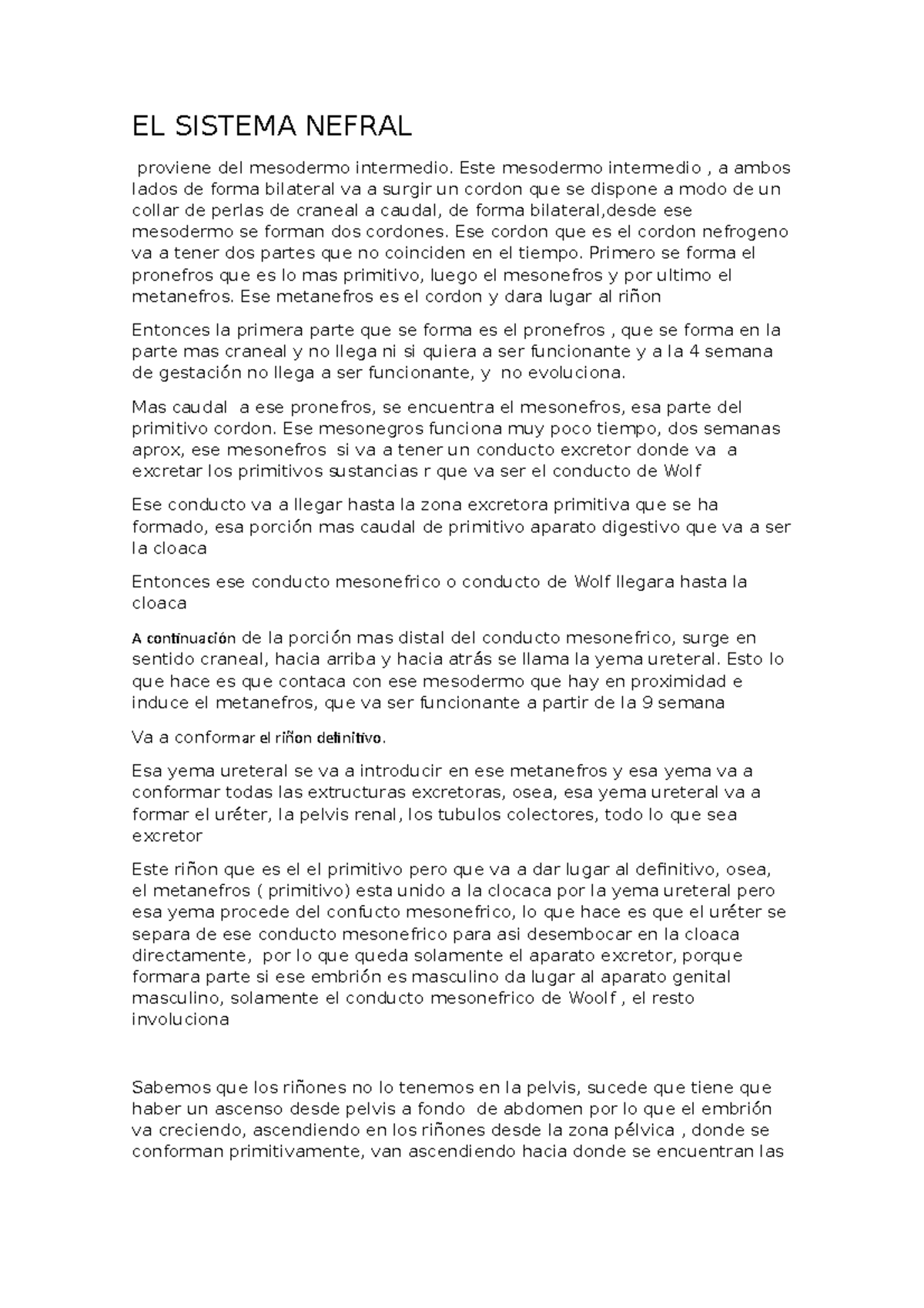 EL Sistema Nefral - EL SISTEMA NEFRAL proviene del mesodermo intermedio ...