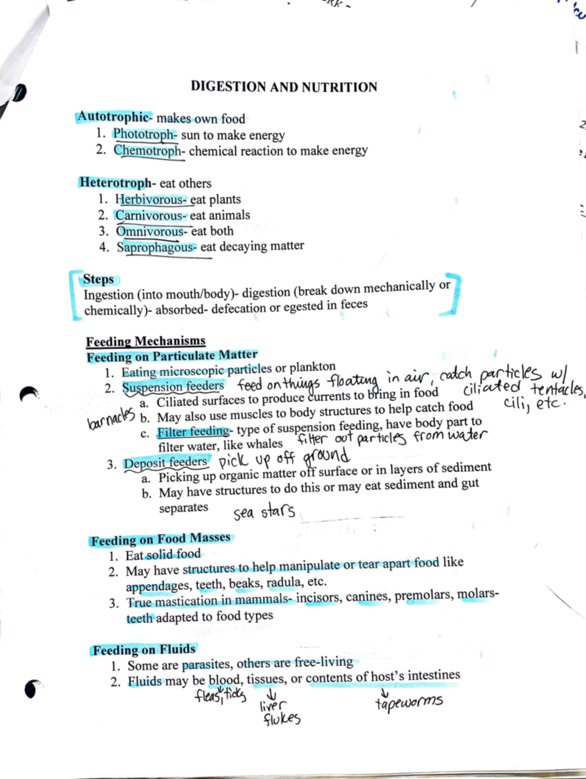 Zoology BIOL-1413 Digestion and Nutrition - 1 DIGESTION AND NUTRITION ...
