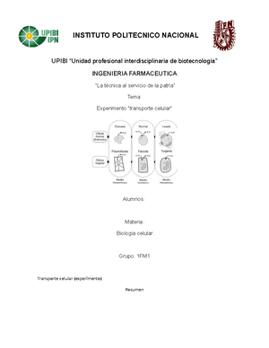 Colesterol (Spinreact) - Colesterol CHOD-POD. Enzimático colorimétrico ...