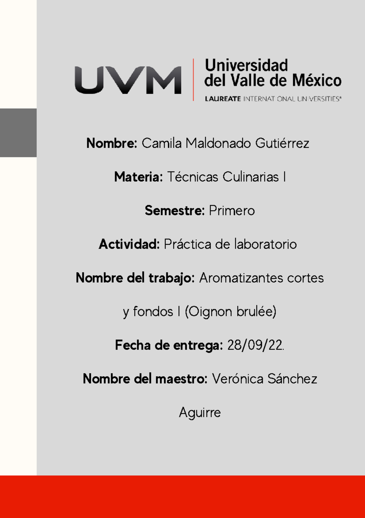 Oignon brulee Practica de laboratorio 5 - Nombre: Camila Maldonado ...