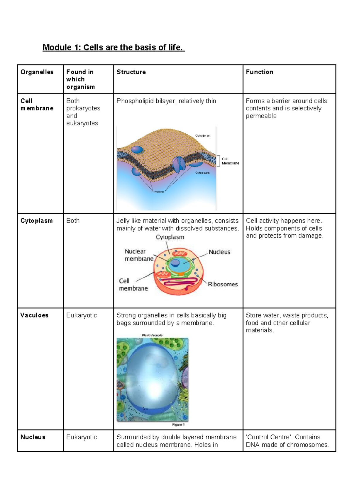 Biology Module 1 - Module 1: Cells are the basis of life. Organelles ...