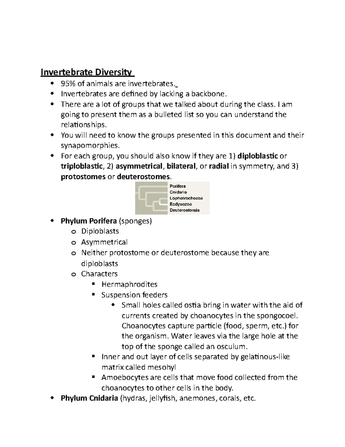 BSC116 Study Guide 5 - Invertebrate Diversity 95% of animals are ...