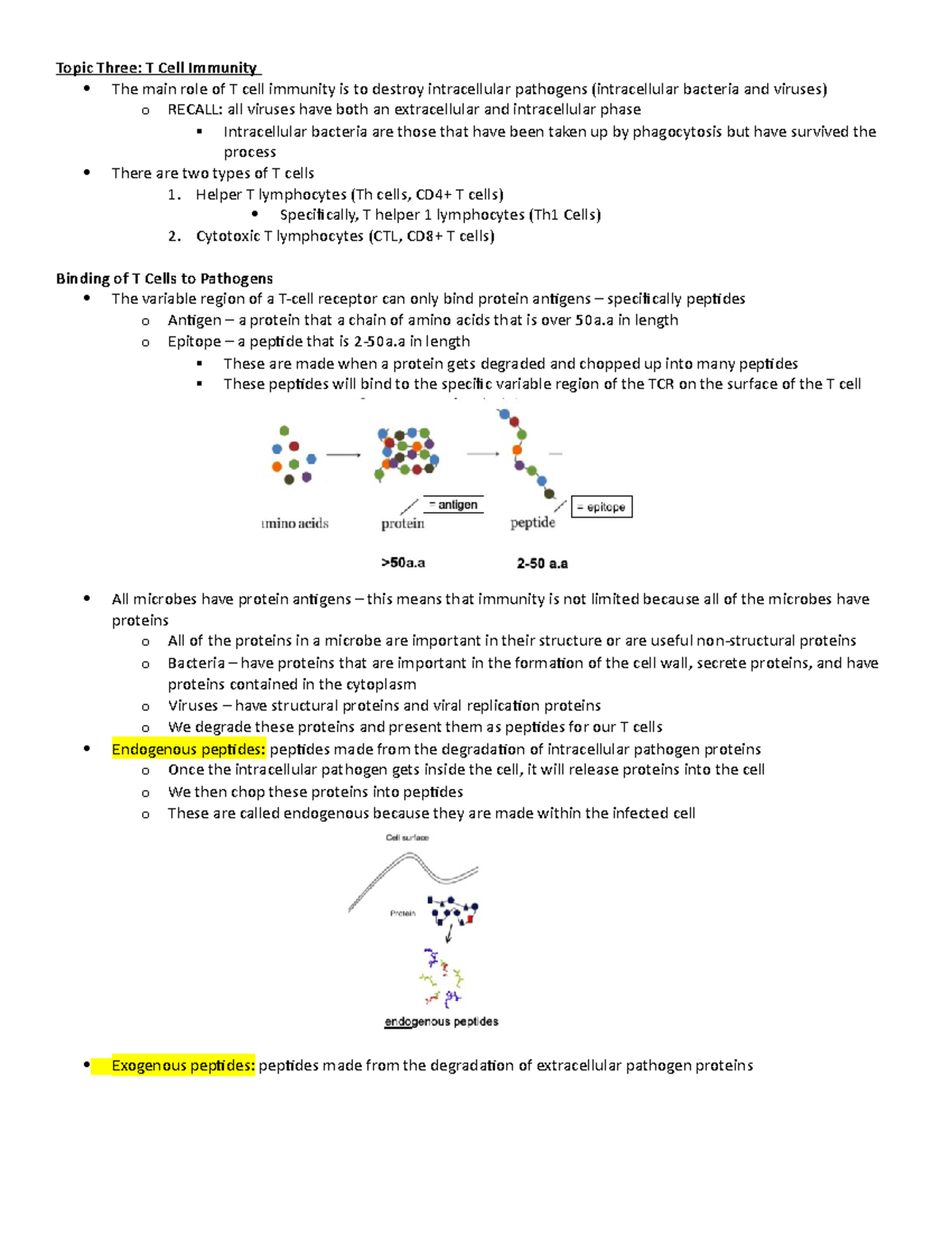 T-Cell-Immunity - Lecture notes 4 - Topic Three: T Cell Immunity The ...