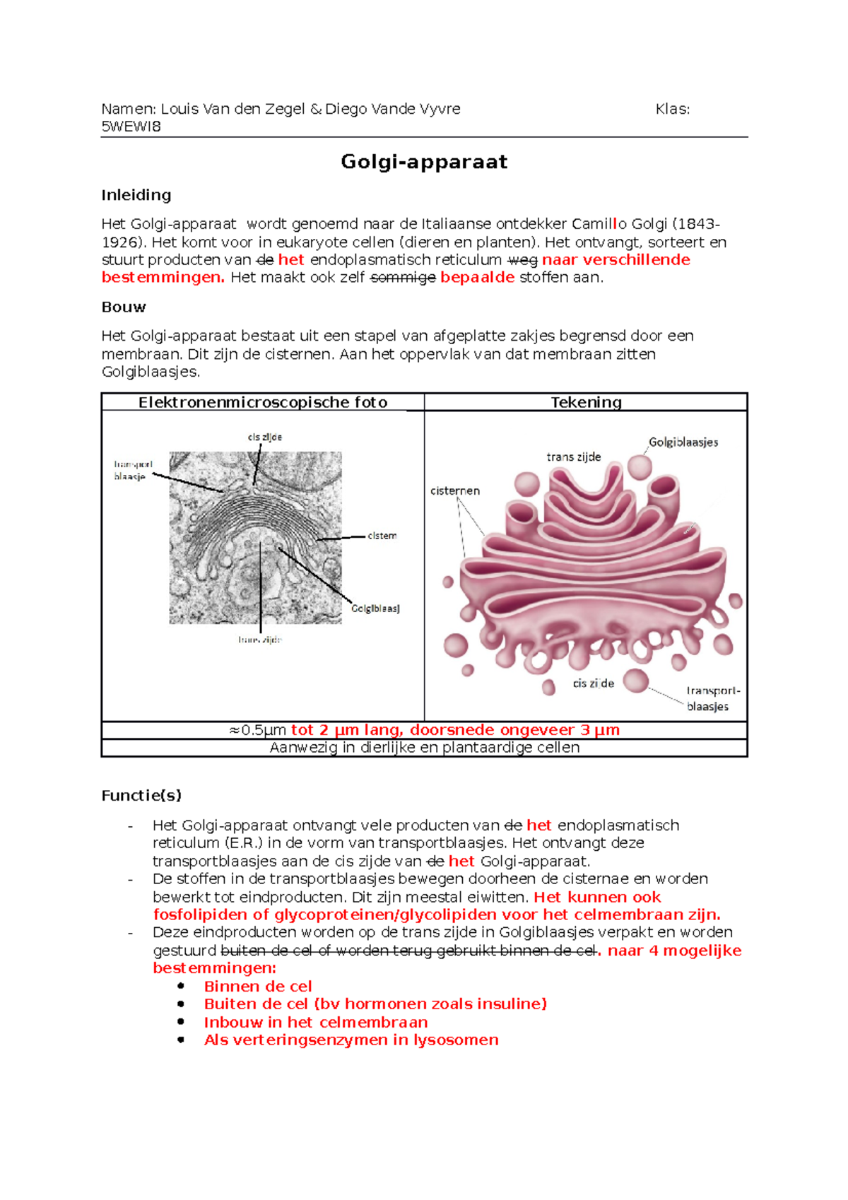 Golgi-apparaat - hoofdstuk 2: functionele morfologie van de cel. Het ...