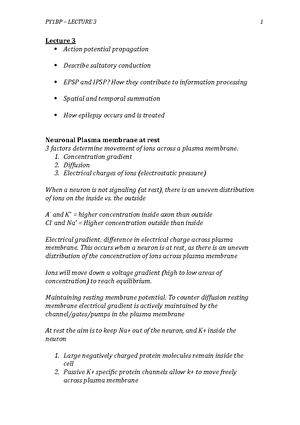 Reading - University of Reading - StuDocu