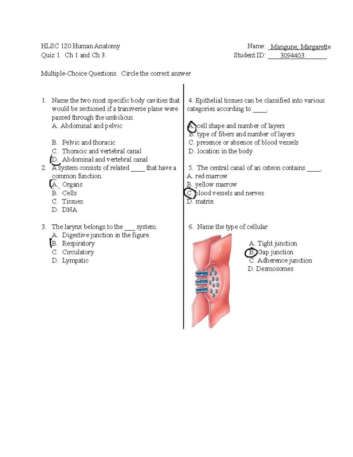 Anatomy hw 1 - Homework num 1 - HLSC 120 Human Anatomy Name ...
