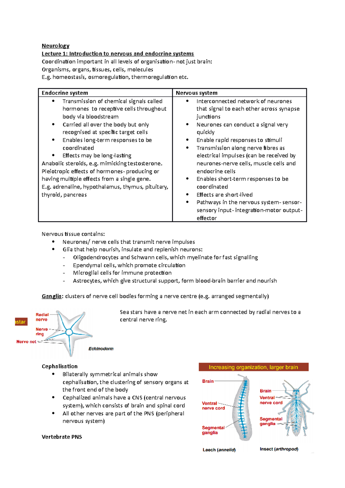 Neurology - Lecture notes 1-4 - Neurology Lecture 1: Introduction to ...