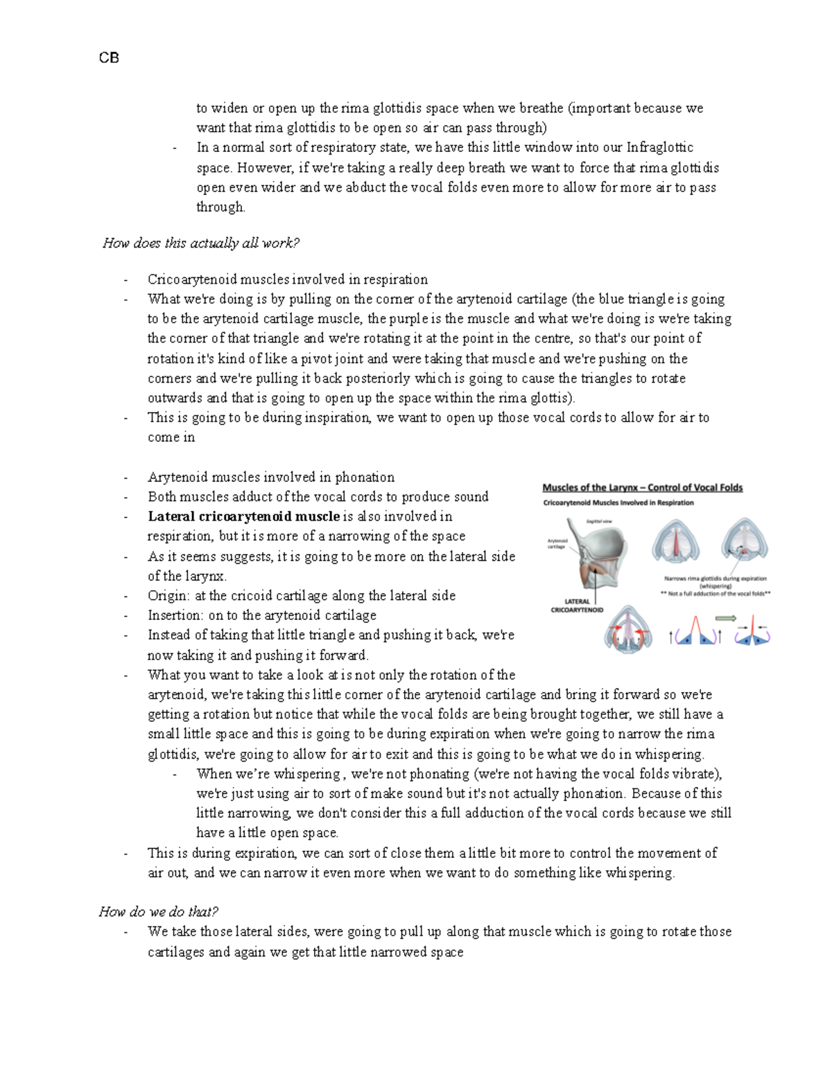L13 - Dr. Ventura - to widen or open up the rima glottidis space when ...
