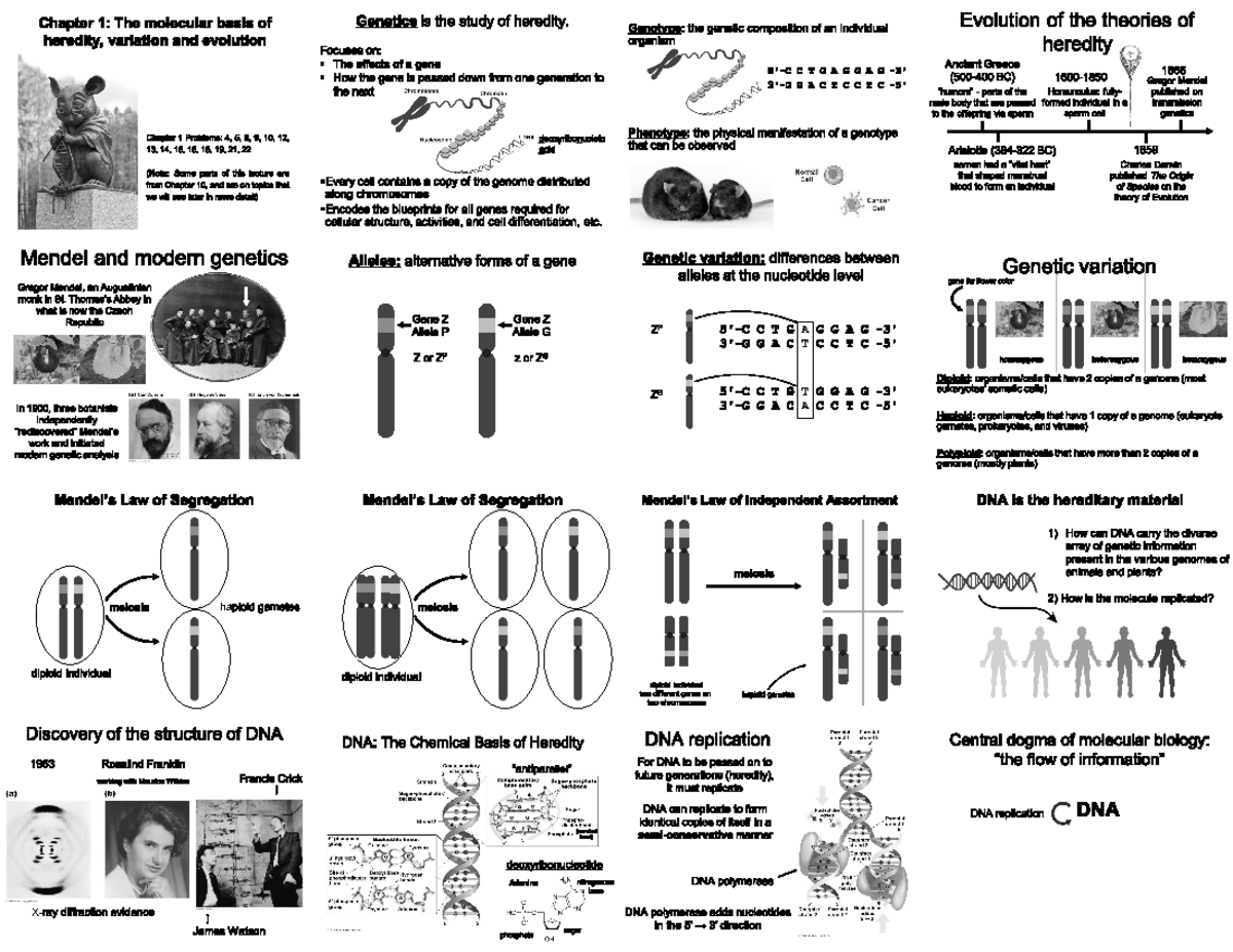 Chapter one bio gen - BIOL 3315 - Studocu