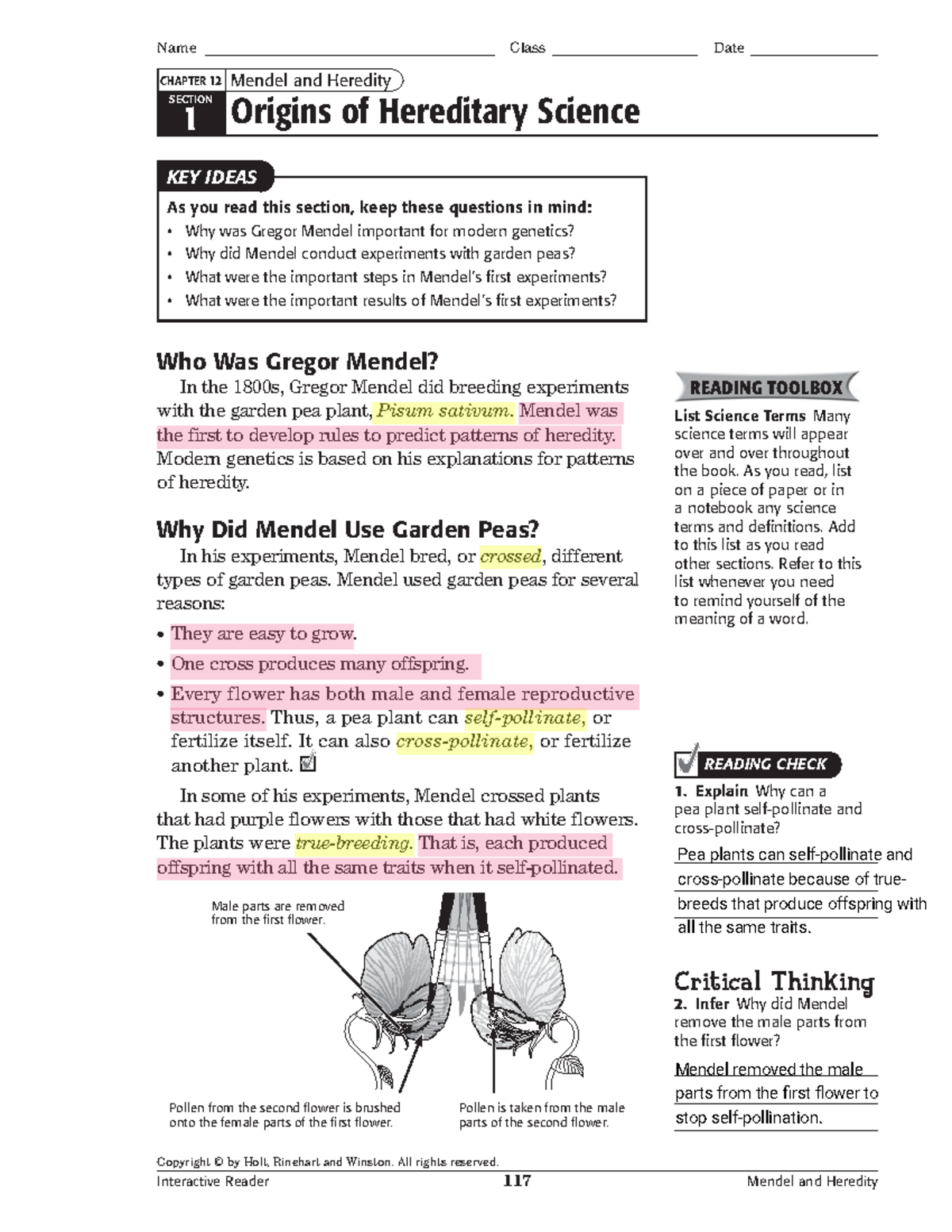 Kami Export - Joshua Riley Arciaga - Origins of Hereditary Science ...