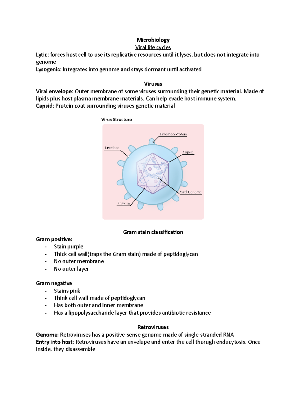 Microbiology - Microbiology Viral life cycles Lytic: forces host cell ...