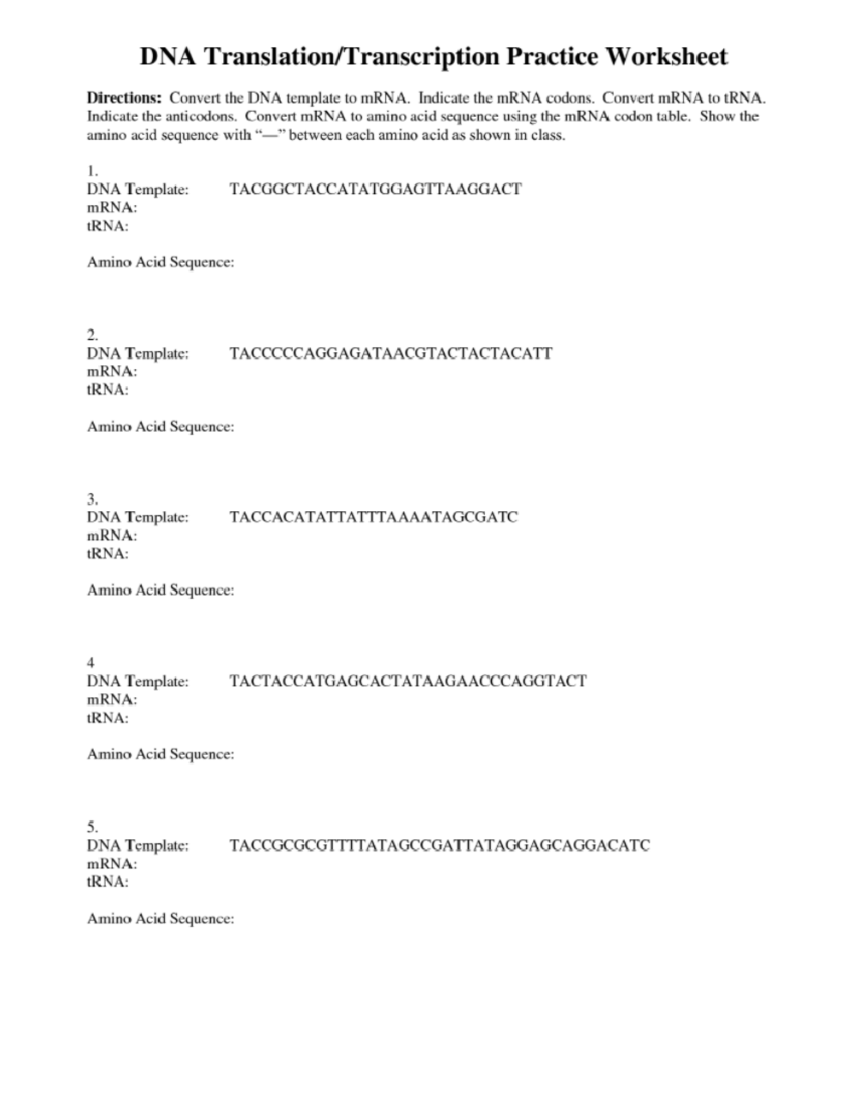 Copy of Transcription and Translation Wksts - Studocu