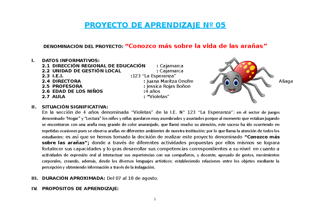 Proyecto Arañas - sesiones de aprendizaje para niñis de 3,4 y 5 años ...