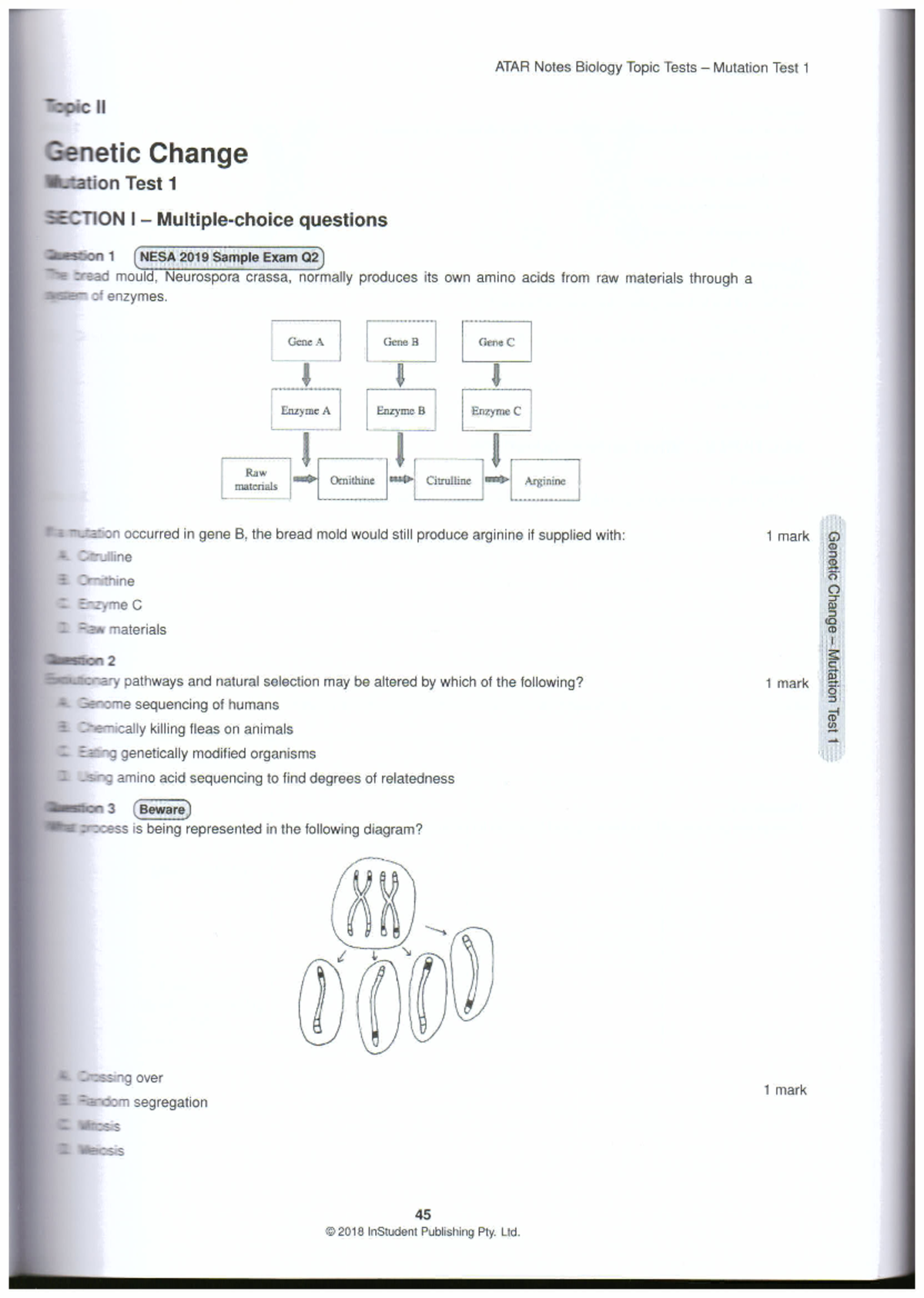 Genetic Change Questions- Biology - Studocu
