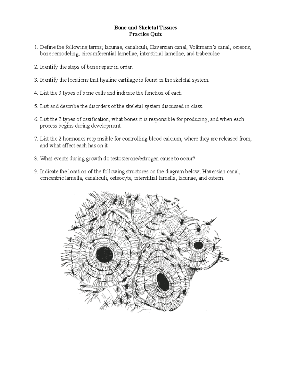 Boneand Skeletal Tissues Practice Quiz - Bone and Skeletal Tissues ...