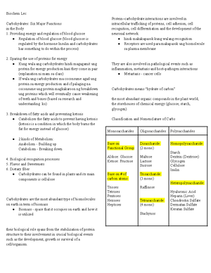 Enzymes - lecture notes in biochem - Enzyme s Ribbon diagram of ...