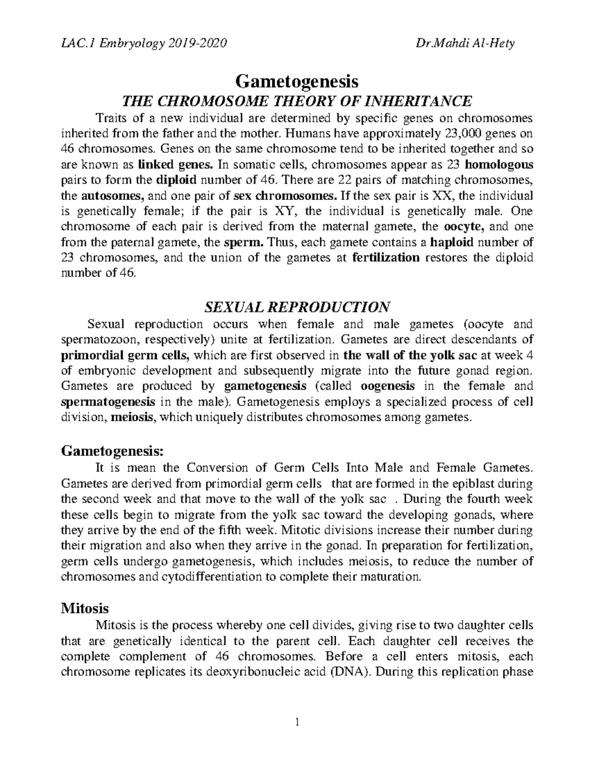 THE Chromosome Theory OF Inheritance - Gametogenesis THE CHROMOSOME ...