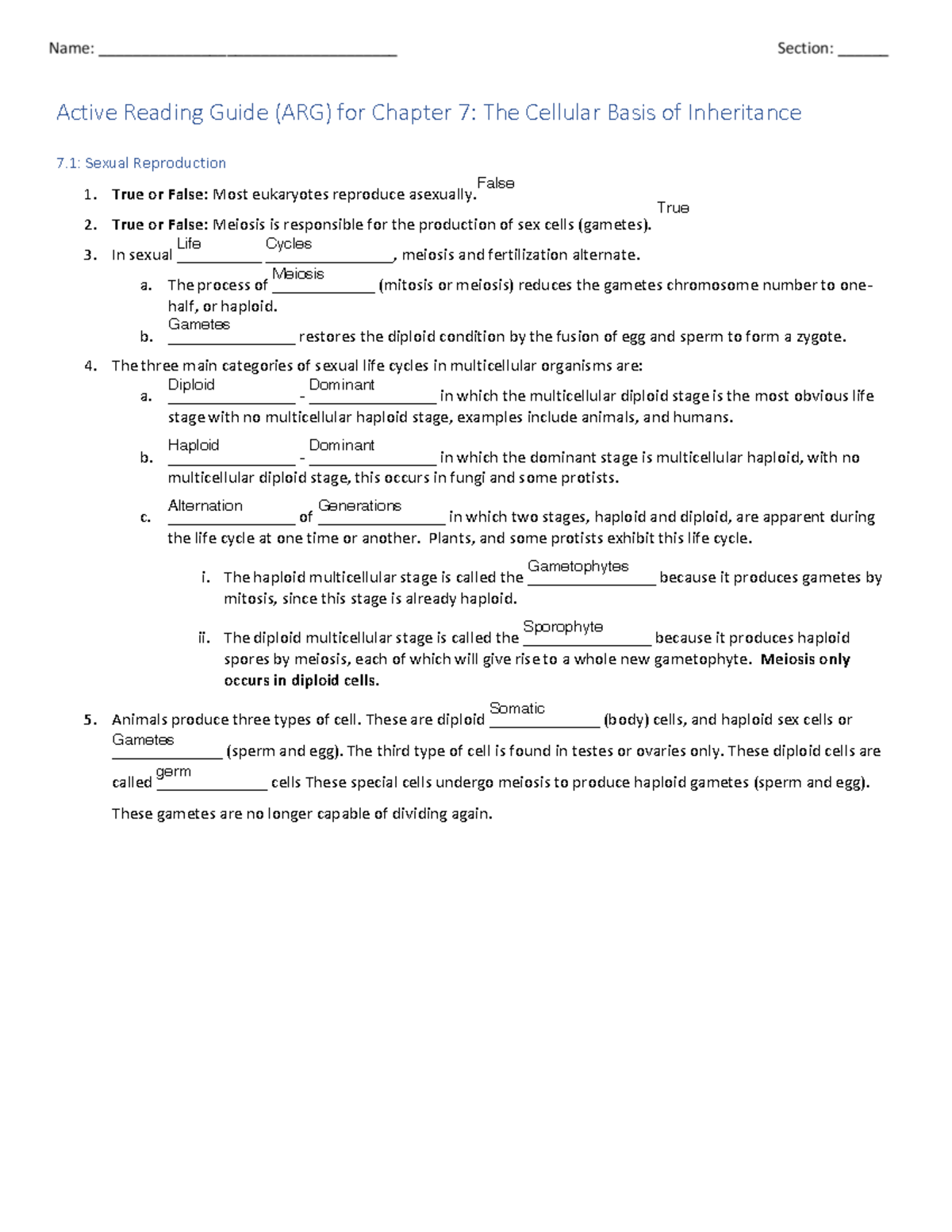 Chapter 7 ARG(1)-2-2-2 - Active Reading Guide (ARG) for Chapter 7: The ...