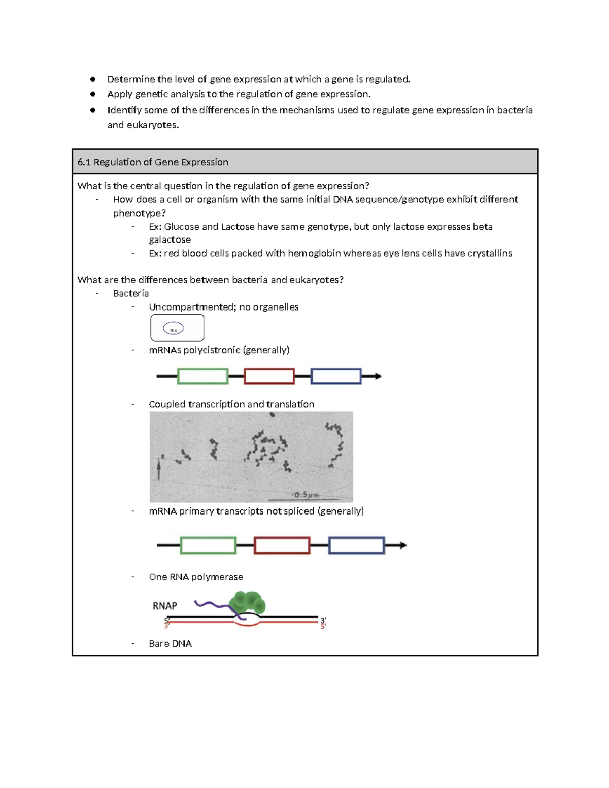 Week 6 Regulation of Gene Expression in Bacteria and Eukaryotes ...