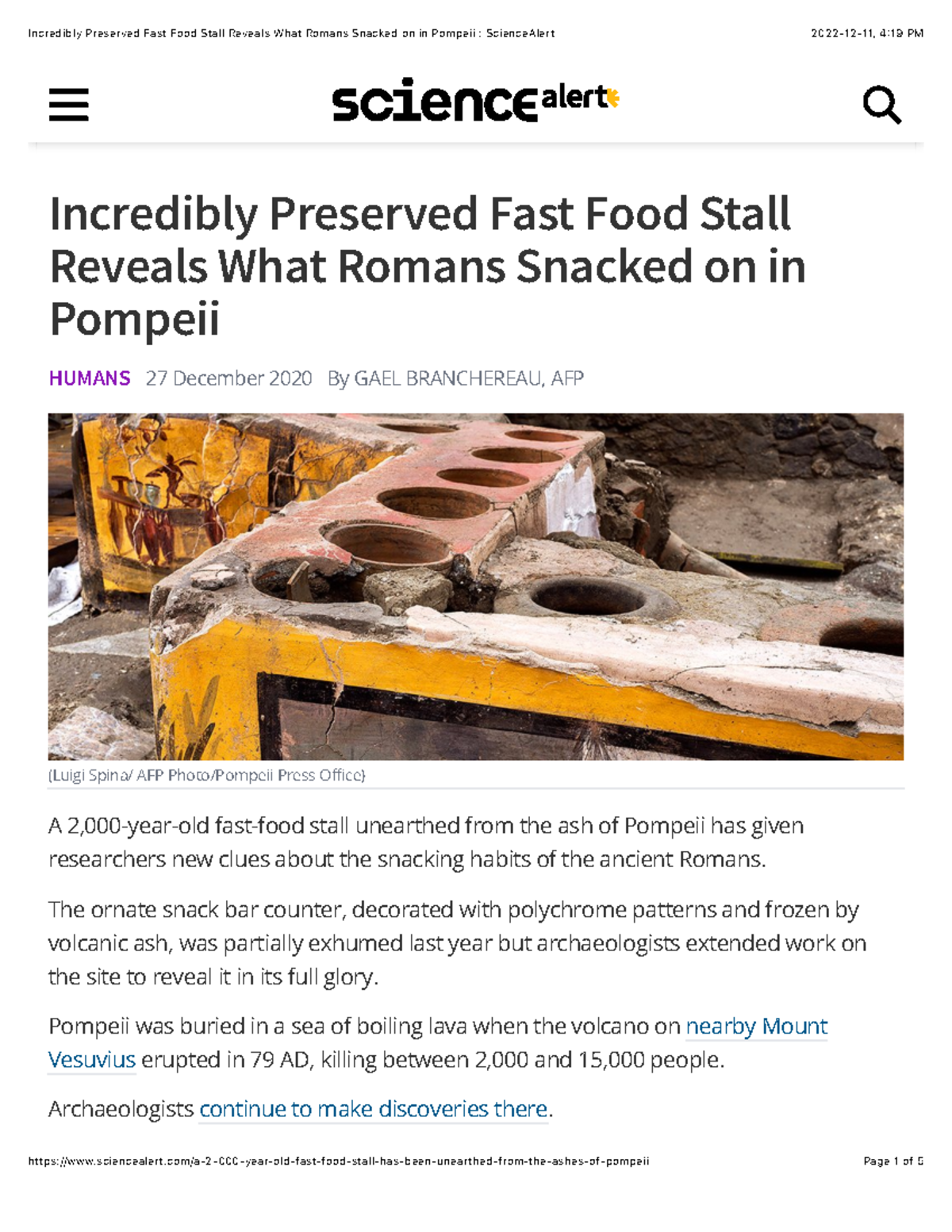 13 Incredibly Preserved Fast Food Stall Reveals What Romans Snacked on ...