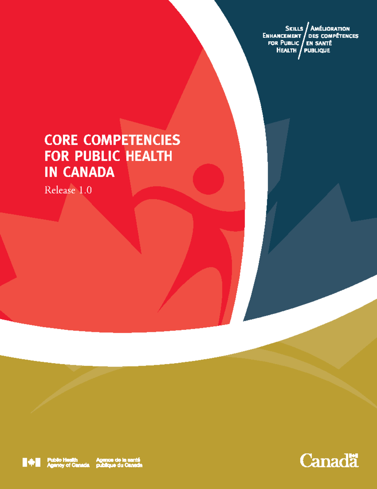 Core competencies for Public Health in Canada - CORE COMPETENCIES FOR ...