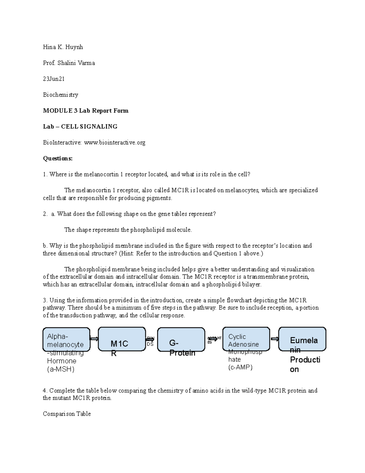 Hina Huynh-Week 3 Lab Report - Hina K. Huynh Prof. Shalini Varma ...