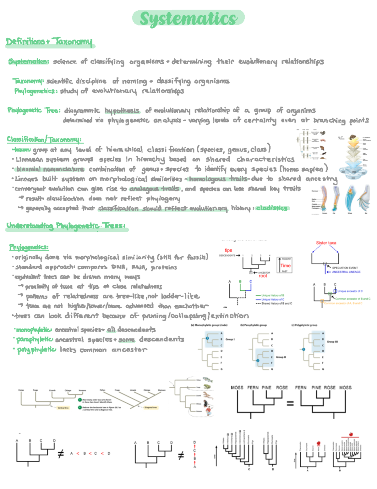Systematics - Definitions Taxonomy Systematics scienceofclassifying ...