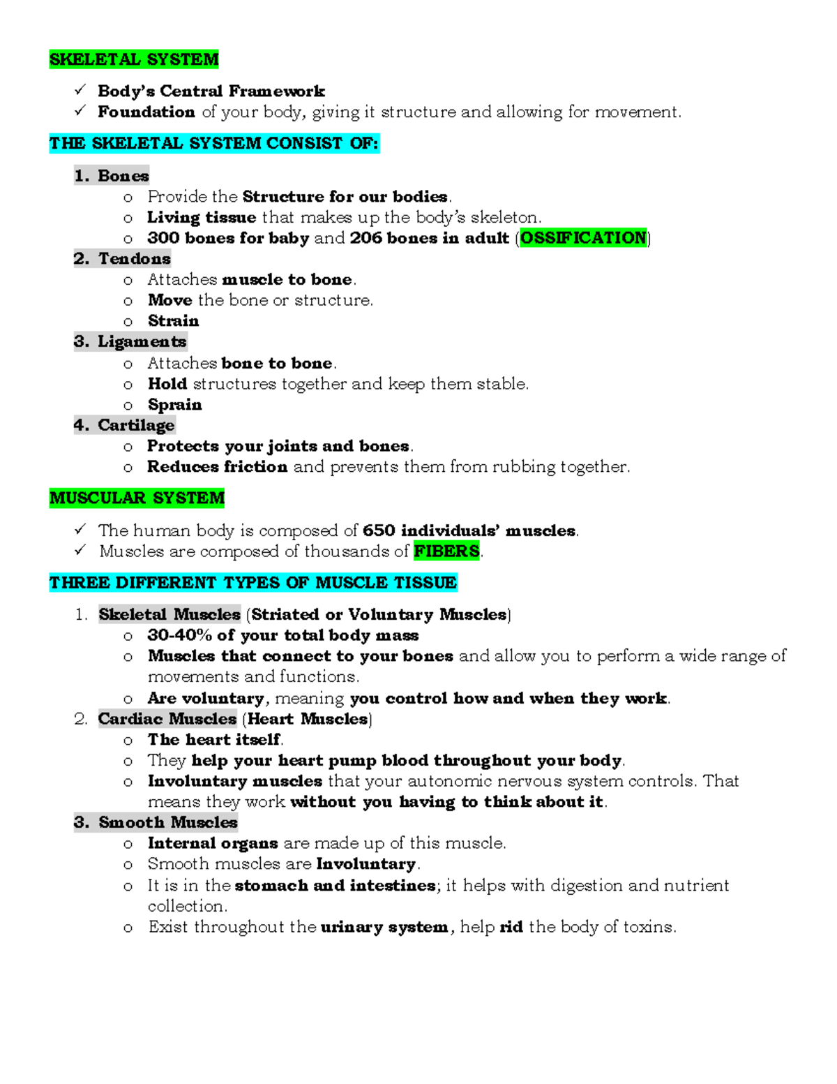 Path Fit - CREVIEW - SKELETAL SYSTEM Body’s Central Framework ...