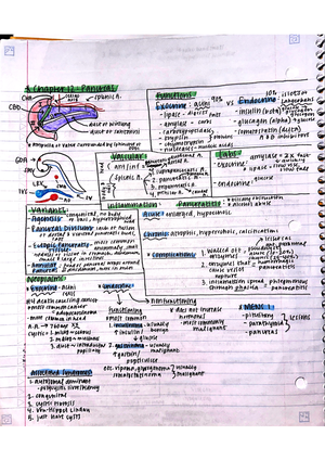Week 3 Outline - Abdominal anatomy - SON105 - Studocu