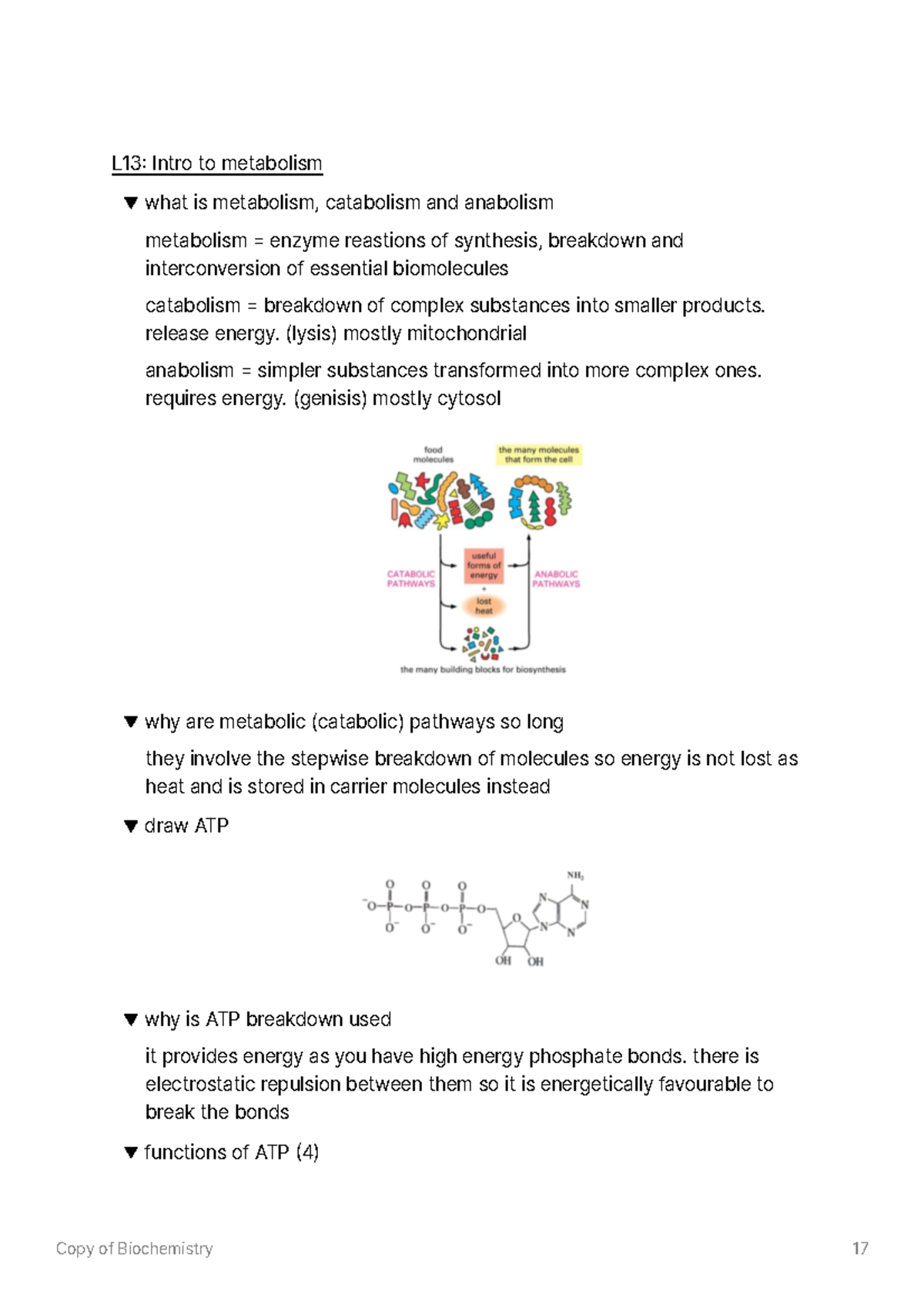 L13 Intro to metabolism - Copy of Biochemistry 17 L13յ Intro to ...