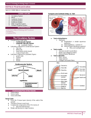 Types of Tissues - WEEK 1: 4 MAJOR TYPES OF TISSUES TOPIC OUTLINE A ...