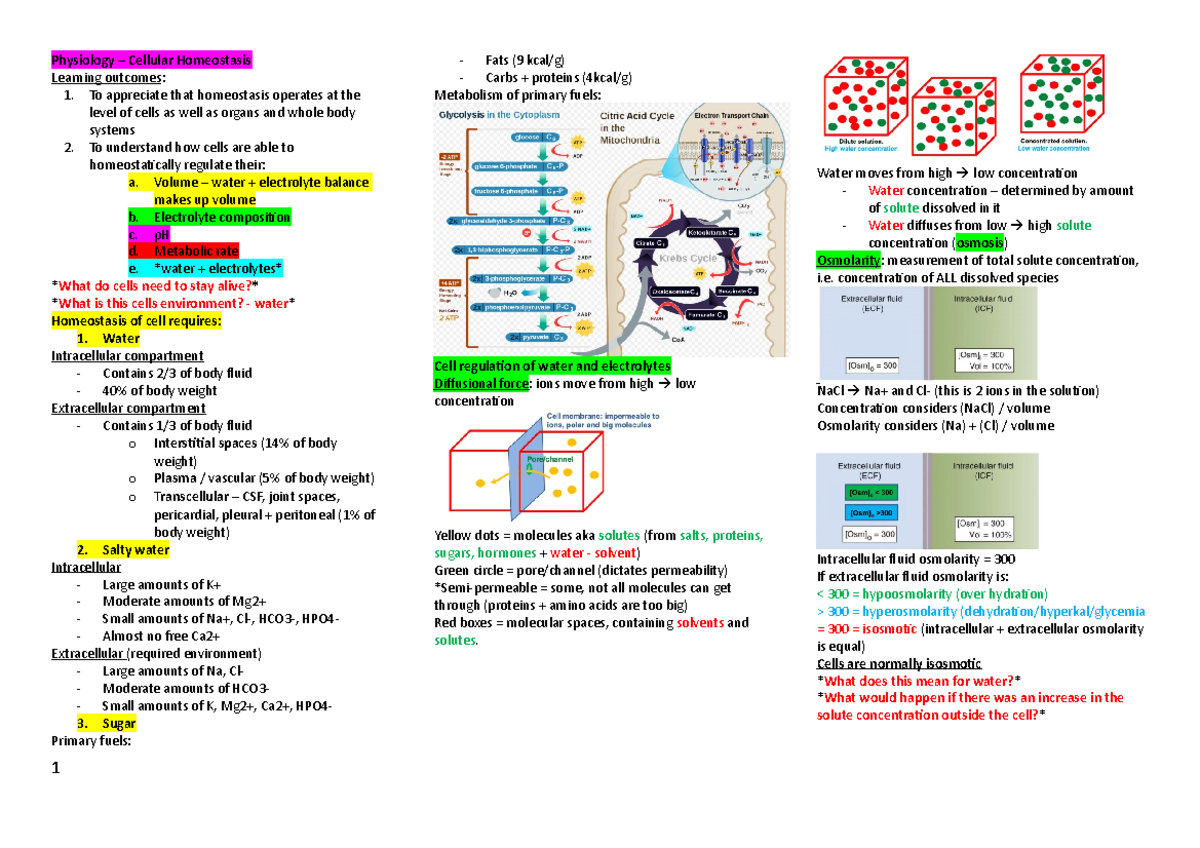 Physiology - cellular homeostasis - Physiology – Cellular Homeostasis ...
