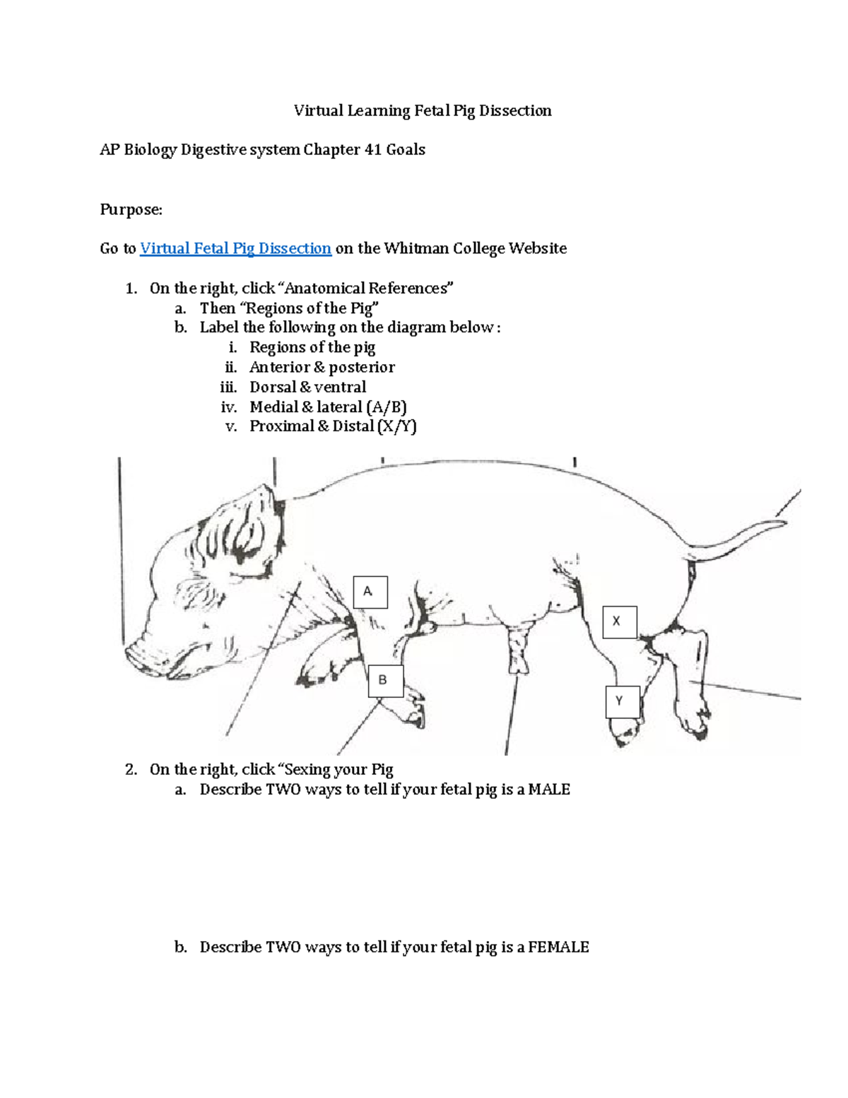 Virtual Learning Fetal Pig Dissection 2020 StuDocu