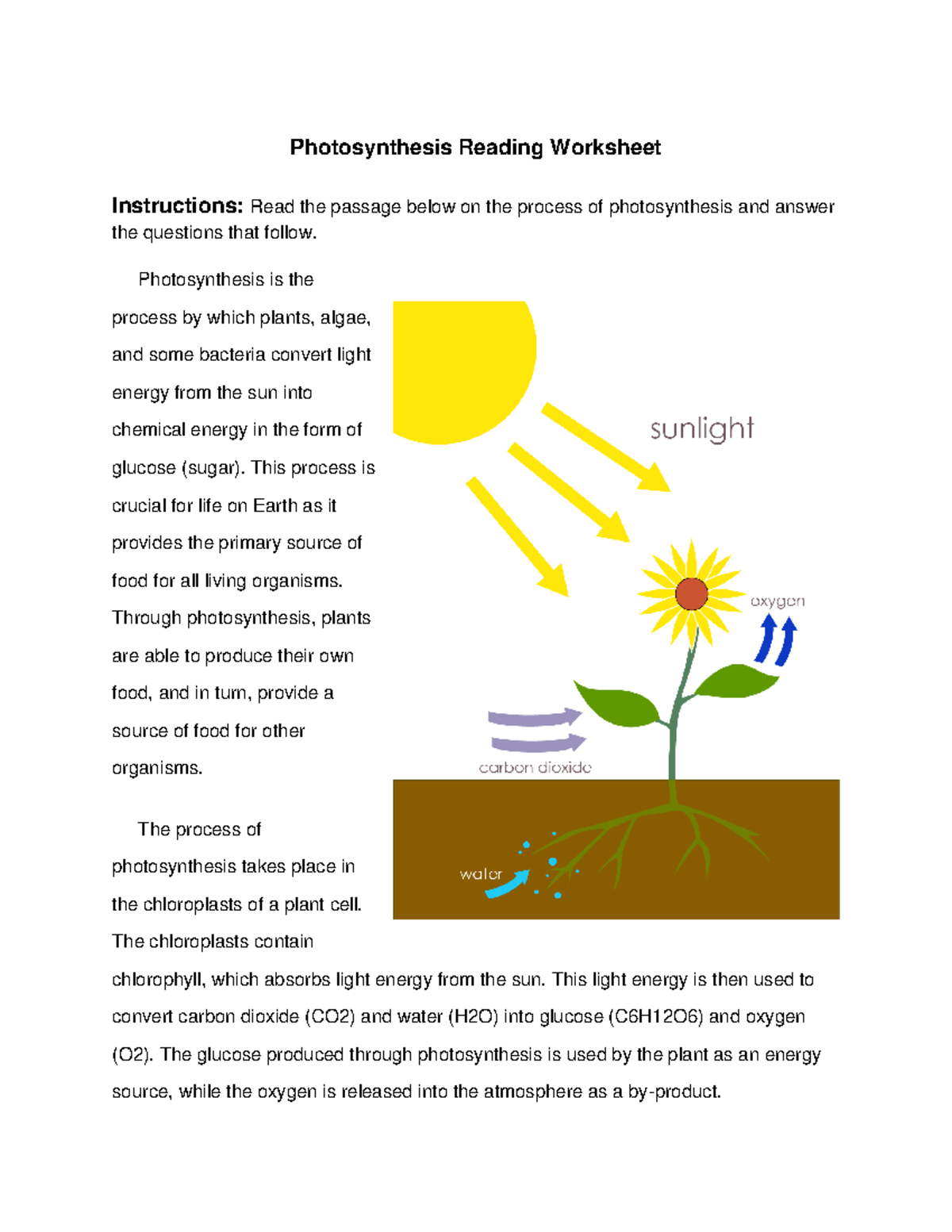 Kami Export - Rihanna Dennis - All About Photosynthesis Reading ...