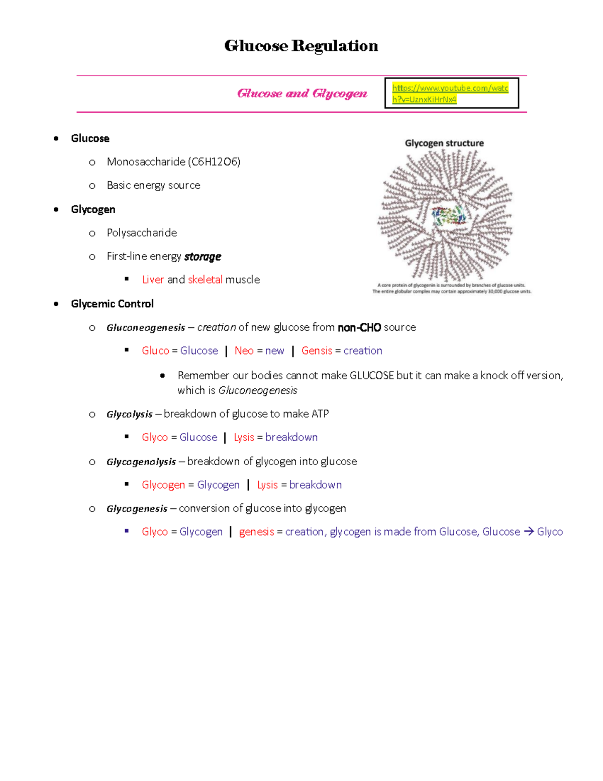 Glucose Reg PDF - Glucose Regulation Glucose and Glycogen Glucose o ...