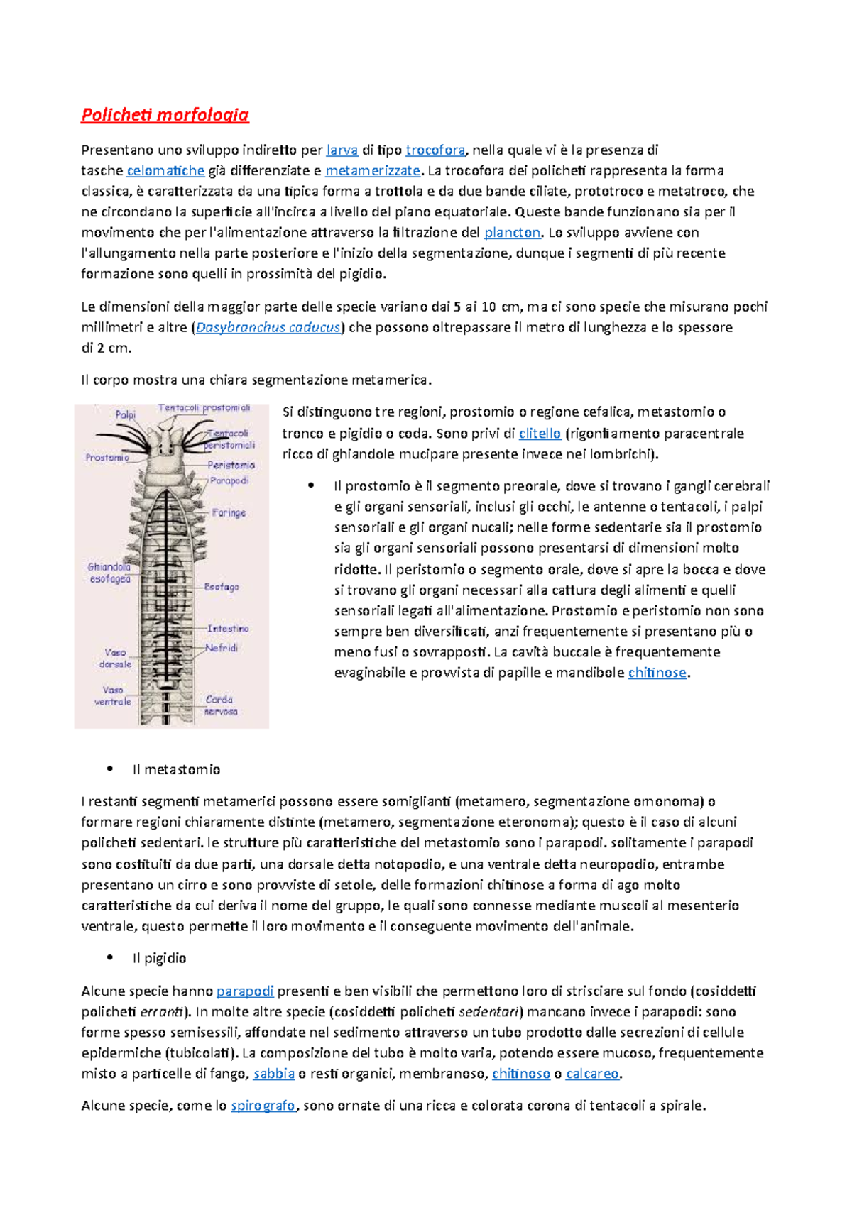 Policheti morfologia - Policheti morfologia Presentano uno sviluppo ...